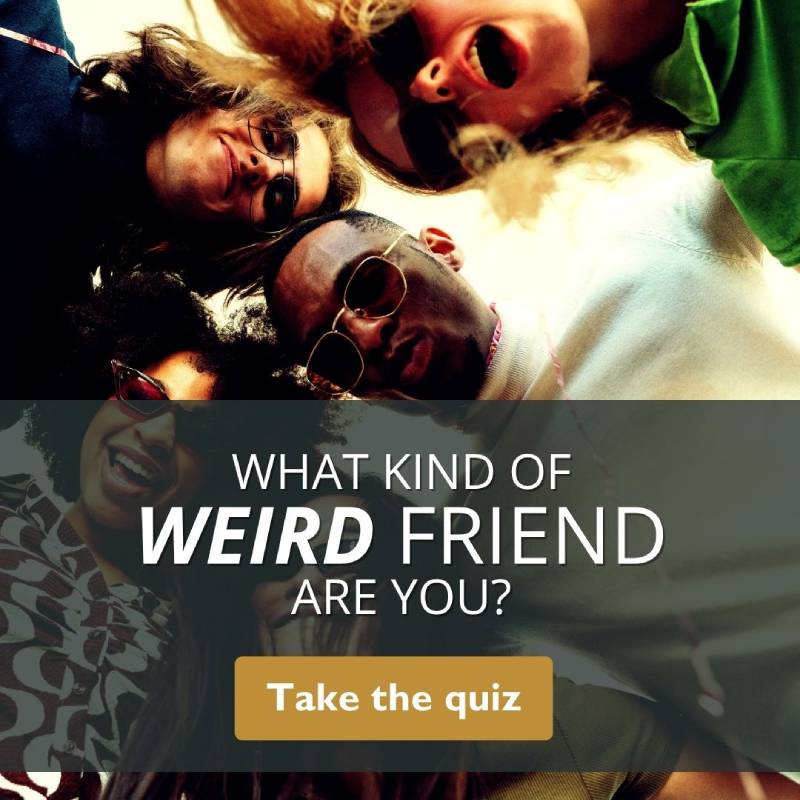 What Kind of Weird Friend Are You? — testnorth.com